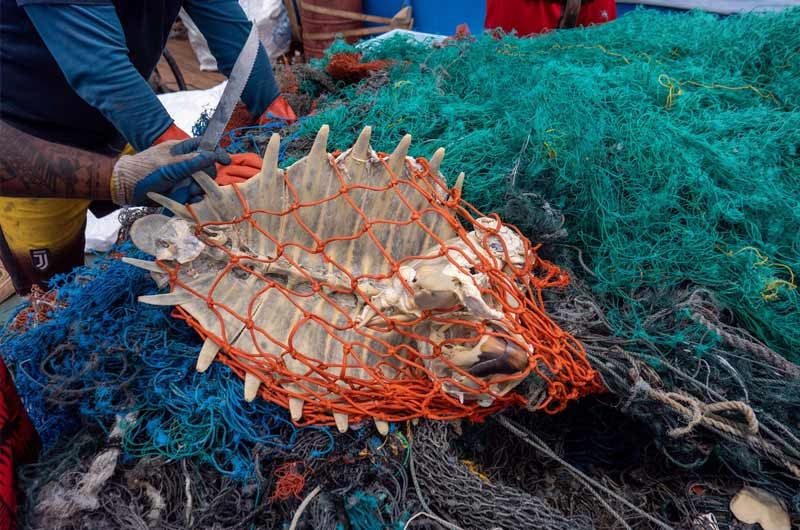 Isole di plastica: ecco come possiamo ridurle con le nostre azioni